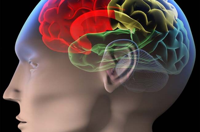 5 Tips For Keeping Your Memory Sharp - Advices 4 Health : A guide to health